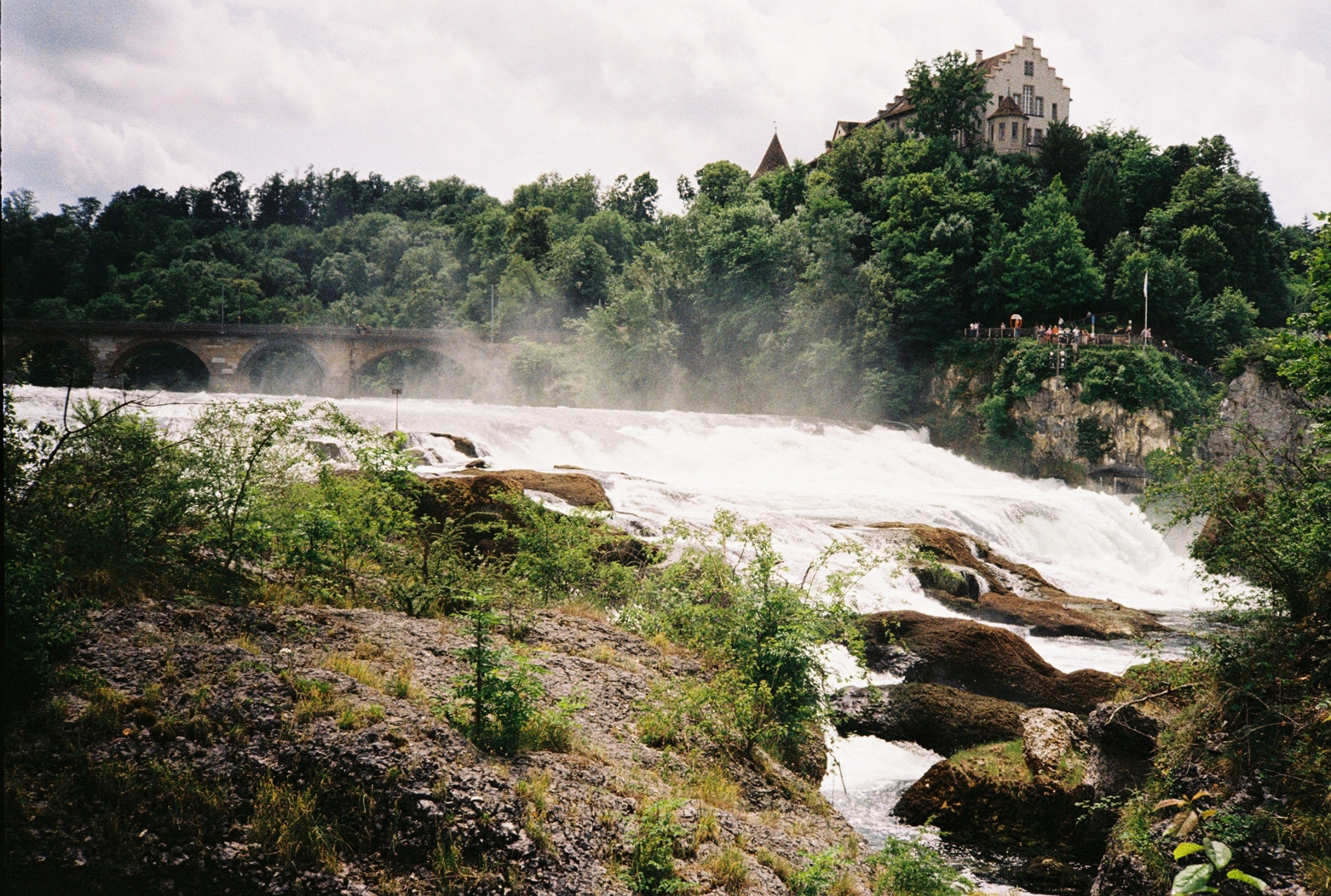 Meet the winners of our photo contest - CEPA - Customized Educational ...